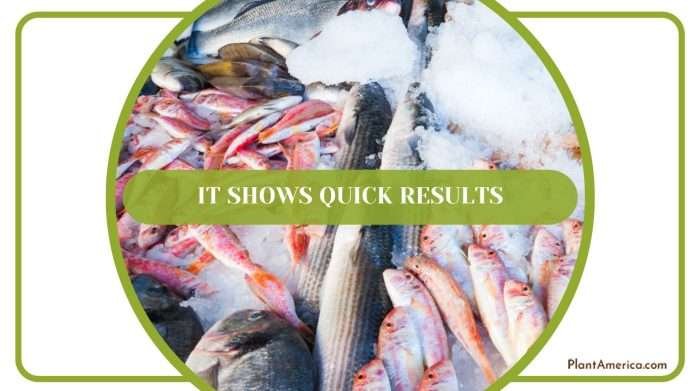 Is Fish Emulsion Good for All Plants? Ways To Use It - Plant America