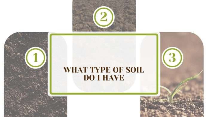 What Type of Soil Do I Have: The Right and Notable Tests - Plant America