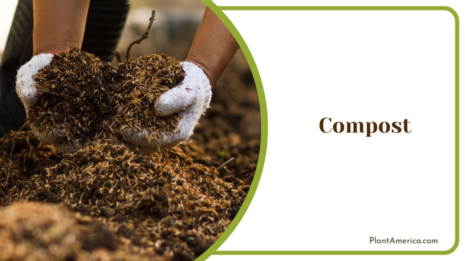 10 Peat Moss Alternatives To Avoid Overusing Your Resources - Plant America