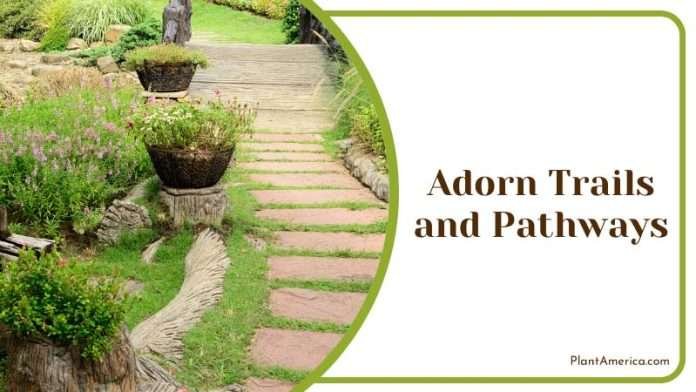 11 Landscape With Potted Plants Ideas for Enhancing Beauty - Plant America