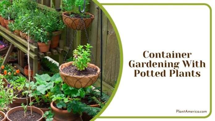 11 Landscape With Potted Plants Ideas for Enhancing Beauty - Plant America