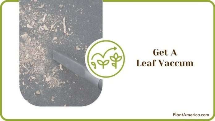 How to Mulch Leaves Without a Mower: Creative and Easy Ways - Plant America