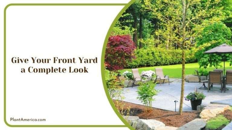 21 Best Red Mulch Landscaping Ideas - Plant America