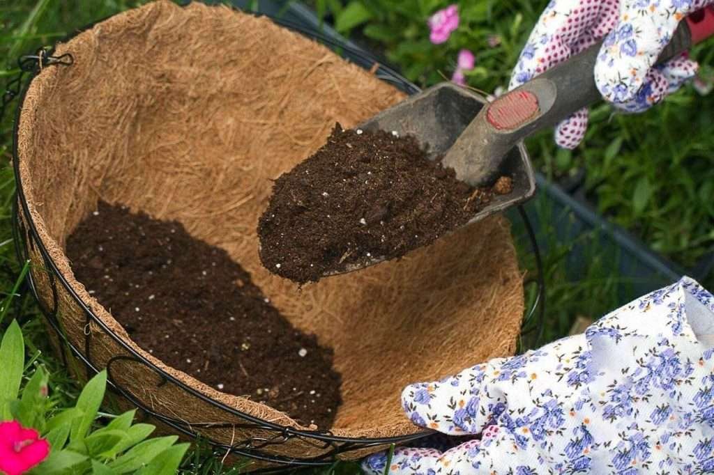 How To Sterilize Potting Soil: Methods You Can Easily Use at Home ...