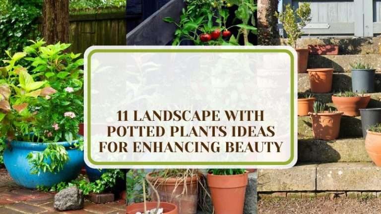 11 Landscape With Potted Plants Ideas for Enhancing Beauty - Plant America