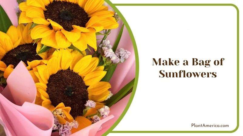 16 Landscaping with Sunflowers: Ideas to Enhance the Garden - Plant America