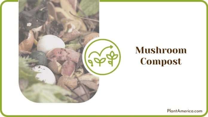 How To Use Mushroom Compost: The Easy Steps To Guide You - Plant America