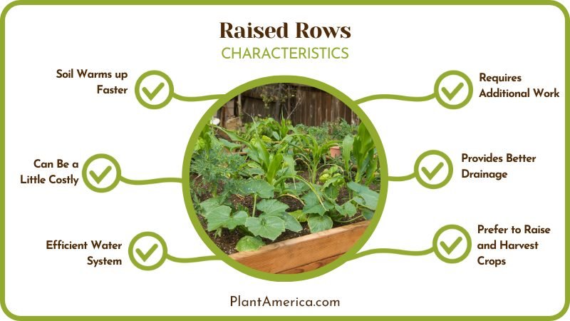 Raised Rows vs Flat Rows: Understanding How Each Can Work for You ...
