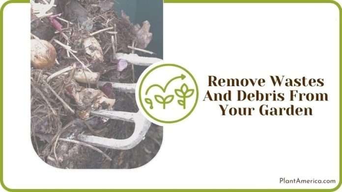 Slugs on Hostas: 14 Easy and Safe Methods To Remove Them - Plant America