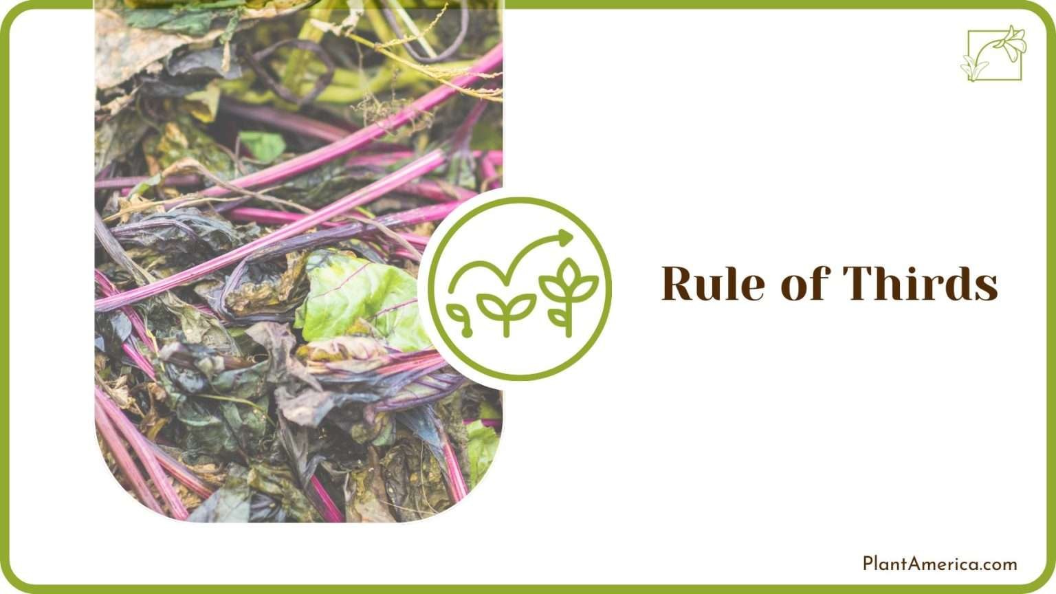 Citrus in Compost: The Trade Secret to Placing Citrus in Compost Piles ...