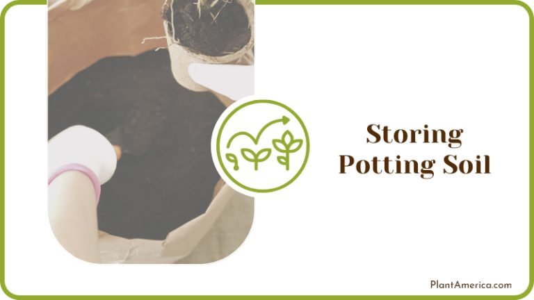 How To Store Potting Soil: Easy Ways to Seal and Recycle for Later Use ...