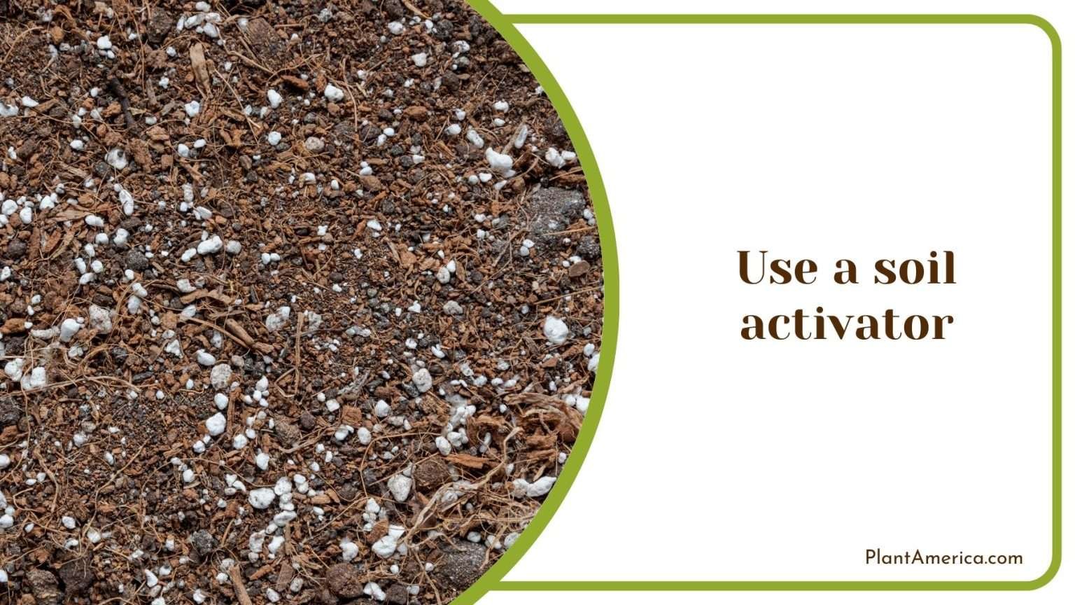 What Is Soil Activator? Benefits and Applications - Plant America