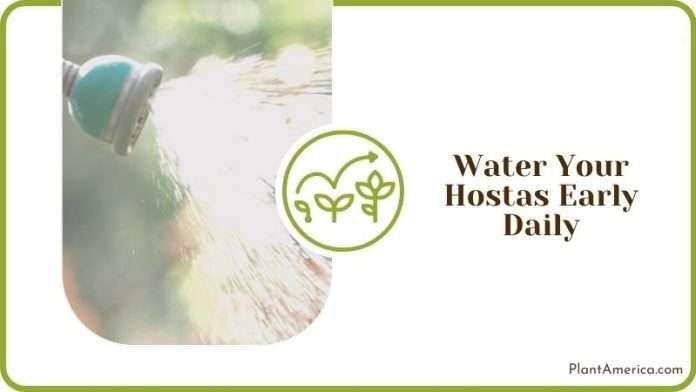 Slugs on Hostas: 14 Easy and Safe Methods To Remove Them - Plant America