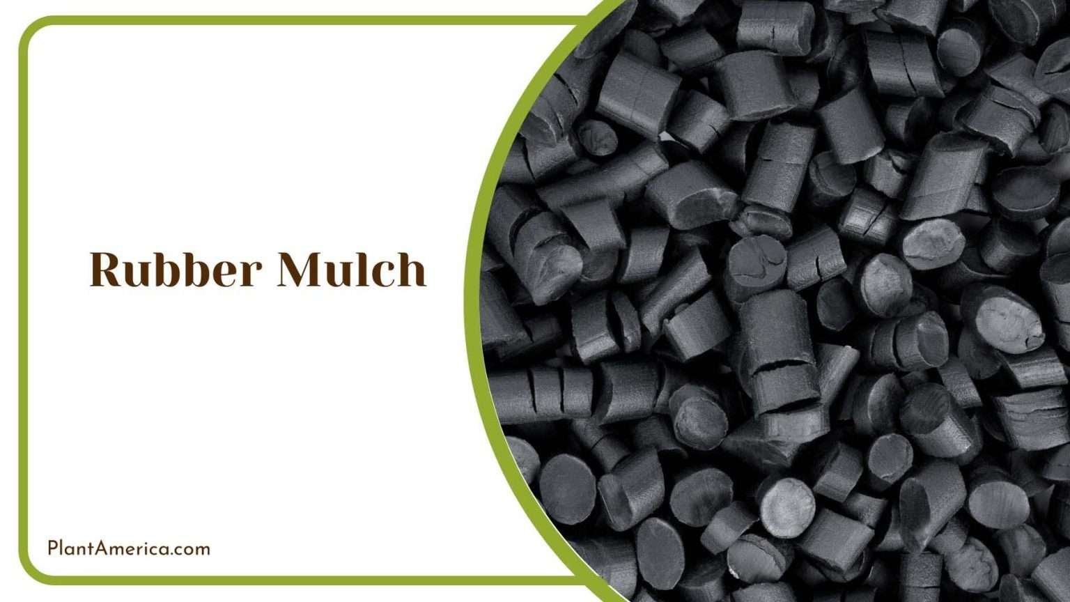 19 Types of Mulch for Different Yards and Gardening Needs - Plant America