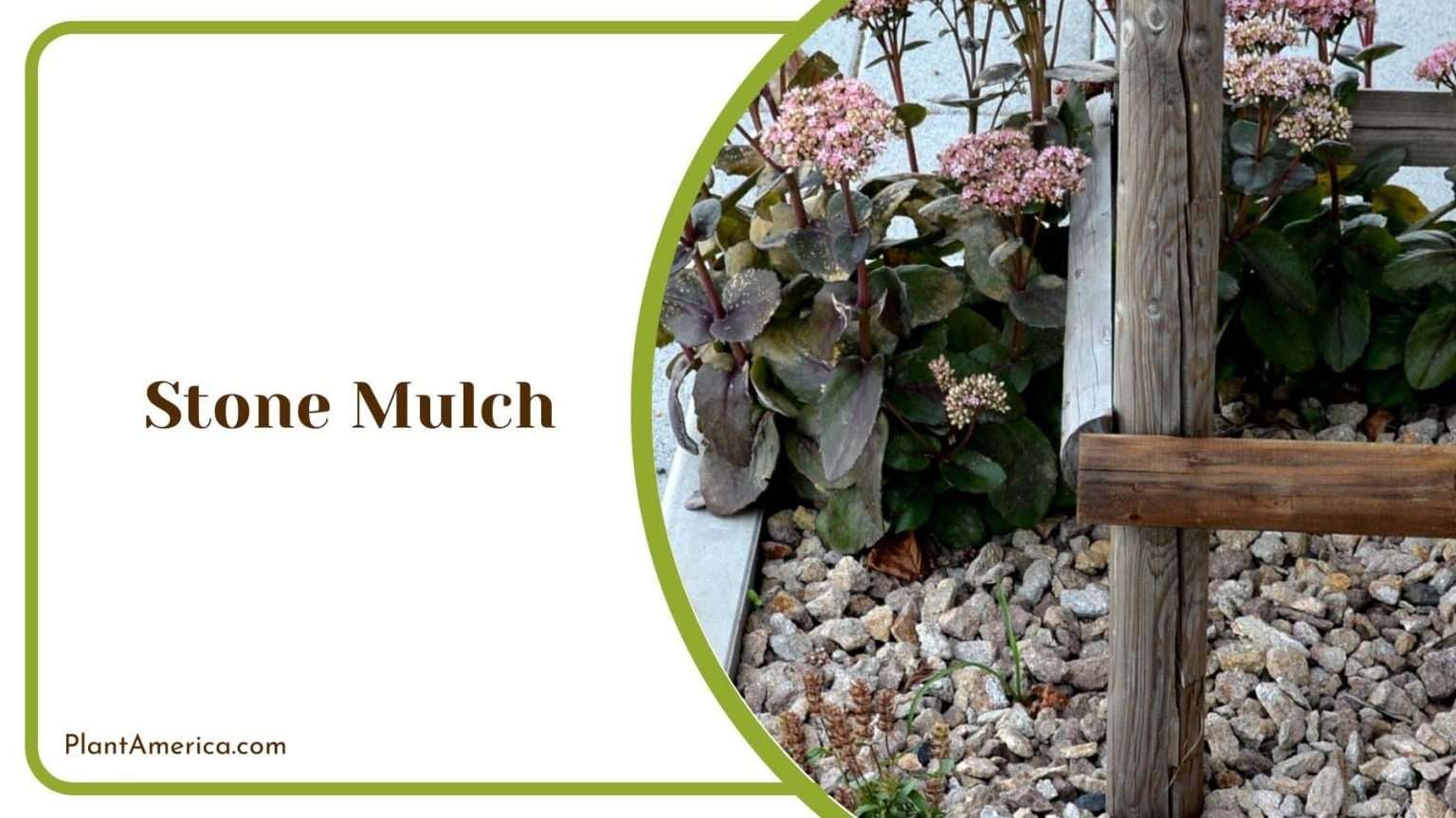 19 Types of Mulch for Different Yards and Gardening Needs - Plant America