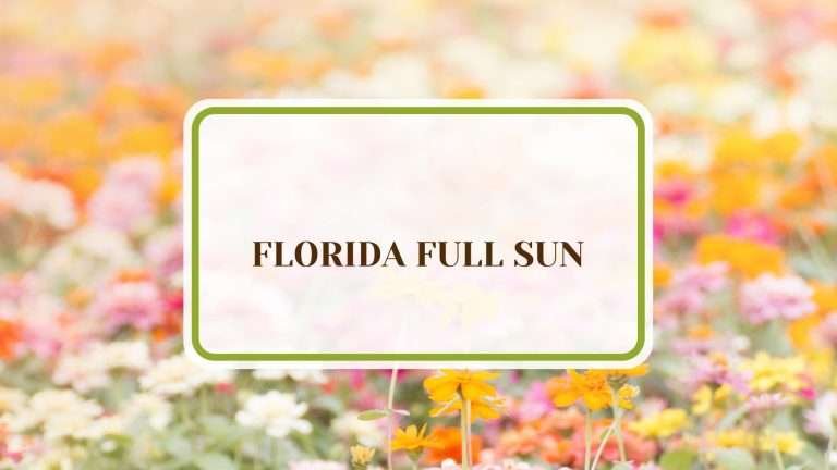 19 Florida Full Sun Plants that Will Thrive in Your Garden - Plant America
