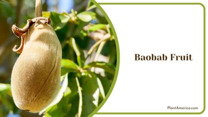 19 Best Green Fruits for Growing in Your Edible Garden - Plant America