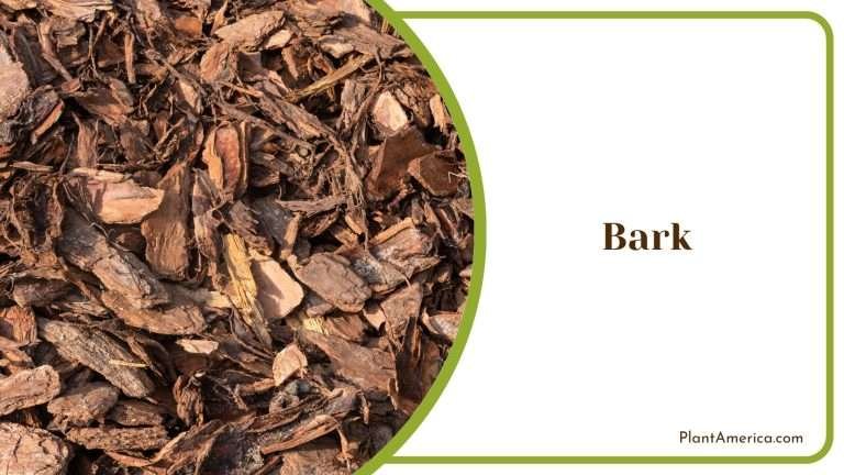 14 Sawdust in Garden Creative Ideas You Should Know - Plant America