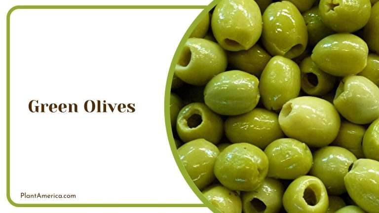 19 Best Green Fruits for Growing in Your Edible Garden - Plant America