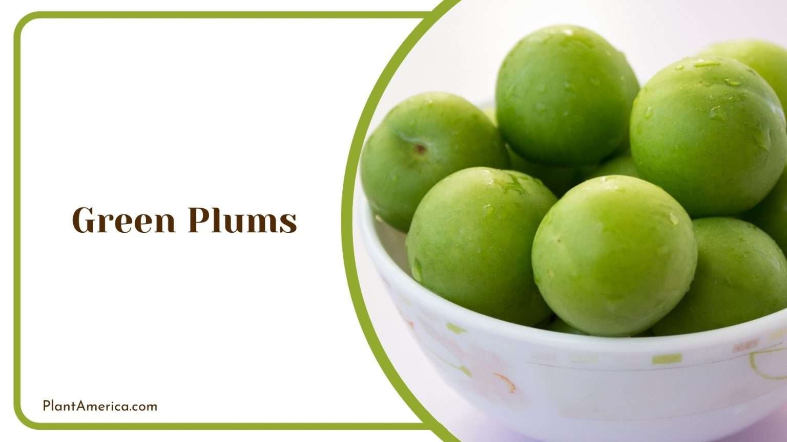 19 Best Green Fruits for Growing in Your Edible Garden - Plant America