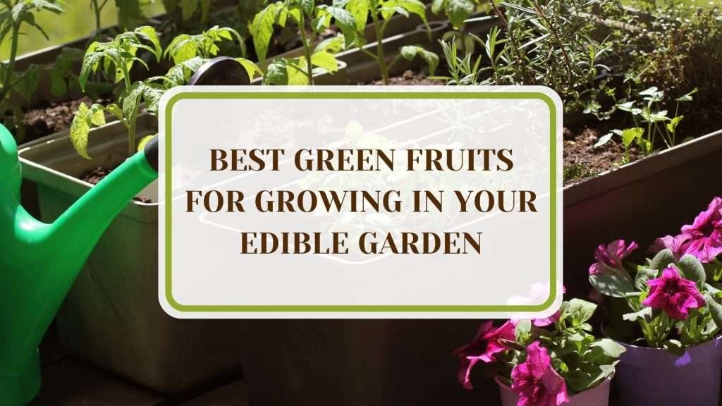 19 Best Green Fruits for Growing in Your Edible Garden - Plant America