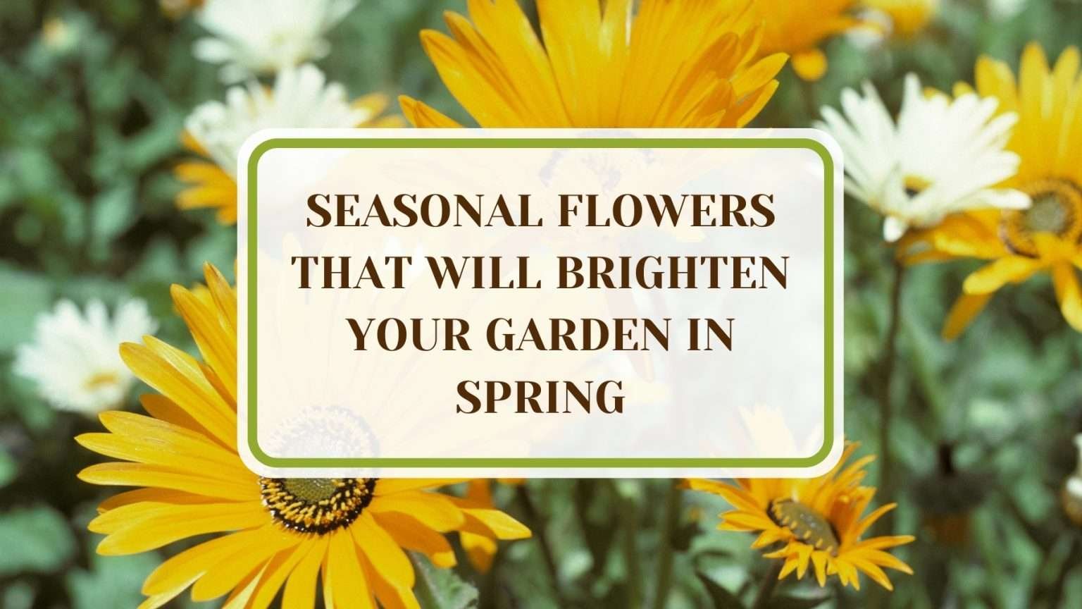 32 Seasonal Flowers that Will Brighten Your Garden In Spring - Plant ...