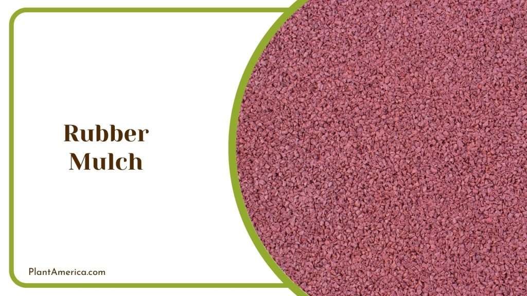 11 Mulch Alternatives to Keep Your Garden Soil Healthy - Plant America
