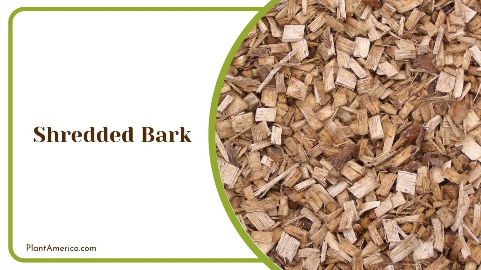 13 Organic Mulch Types for Your Gardens and Planting Areas - Plant America