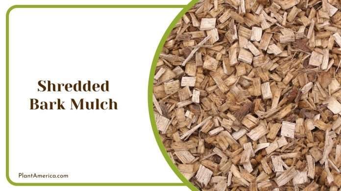 11 Mulch Alternatives to Keep Your Garden Soil Healthy - Plant America