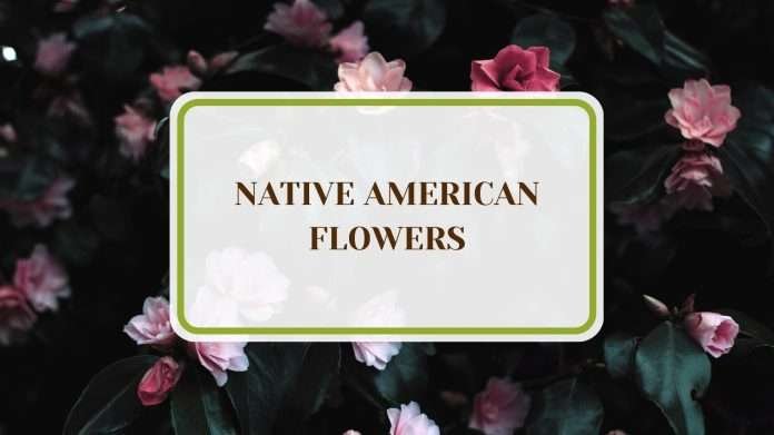25 Native American Flowers with Healing Properties - Plant America