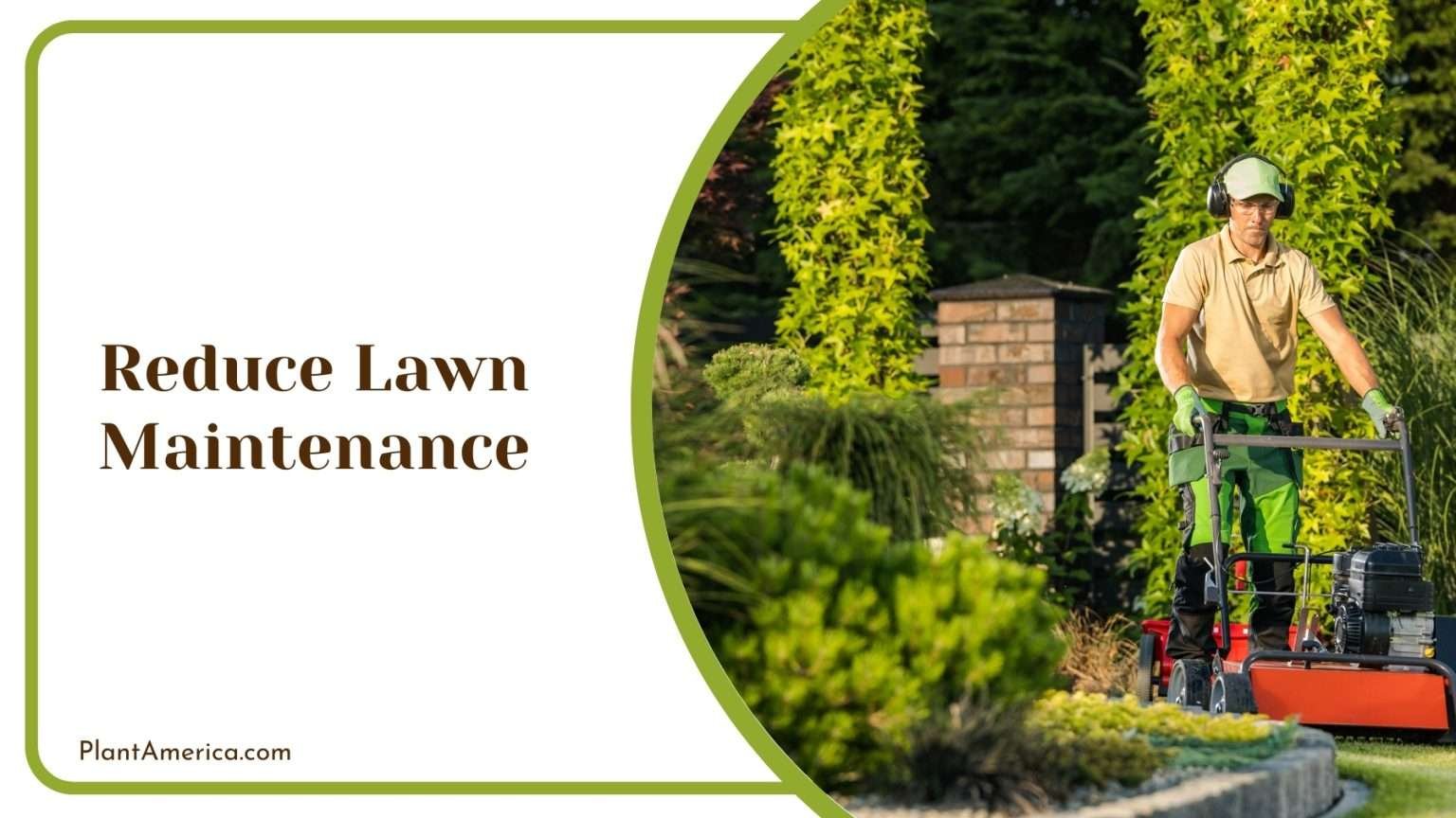 12 Benefits Of Using Native Plants In Your Gardens - Plant America
